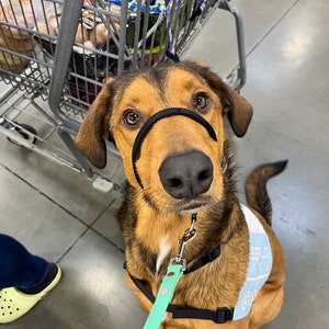 1 Patch, IGNORE ME, 8 Inches X 3 Inches, Sew On, Customizable, Custom ...