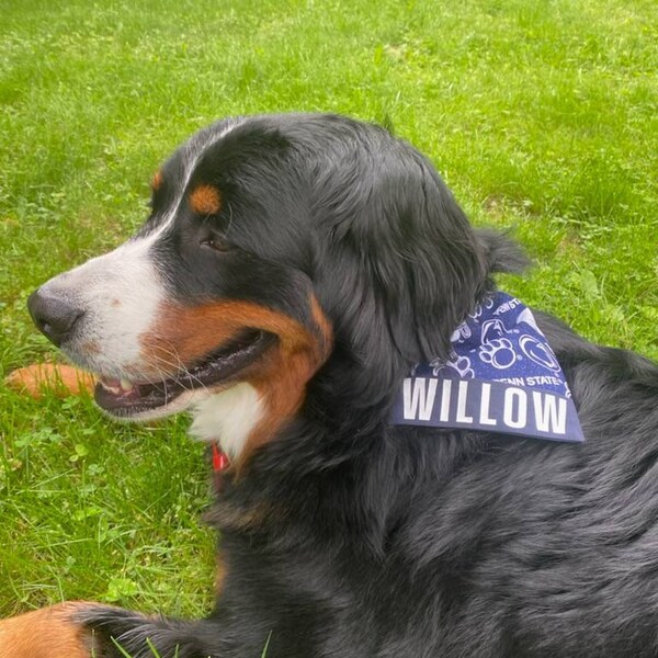 Penn State Dog Bandana: Personalized PSU Design - Etsy