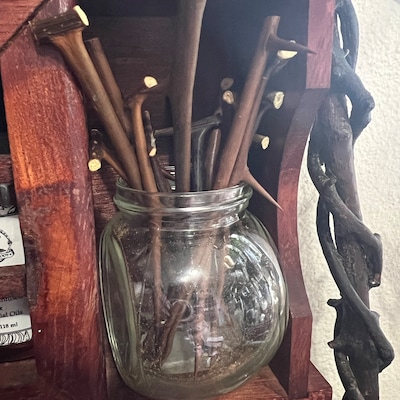 Dried Yarrow Stalks Stems Sticks Achillee Divination I Ching 8 - Etsy