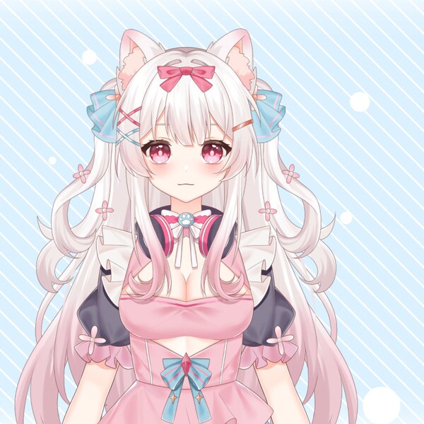 Custom Vtuber Model / Live2d Model Premade/ Vtuber Design / Vtuber Room ...