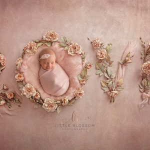 Digital Backdrop Background Newborn Baby Girl or Boy Cream | Etsy
