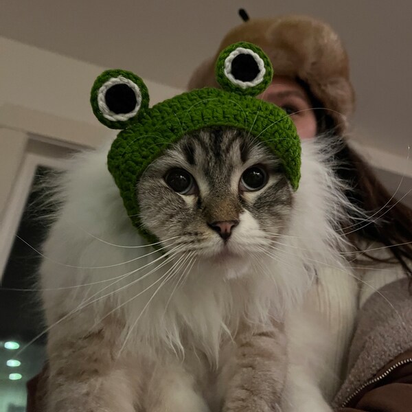Green Knitted Yarn Frog Hat for Cat or Samll Animal Small and Medium ...