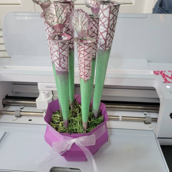 Paper Pitcher Plant - Juthatip Soper - Templates - Paper Plant ...