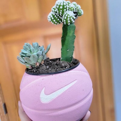 Boba Drinking Capybara Plushies - Etsy