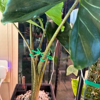 Indoor Cylinder Planter, 3D Printed Planter,4 Inch Planter With ...