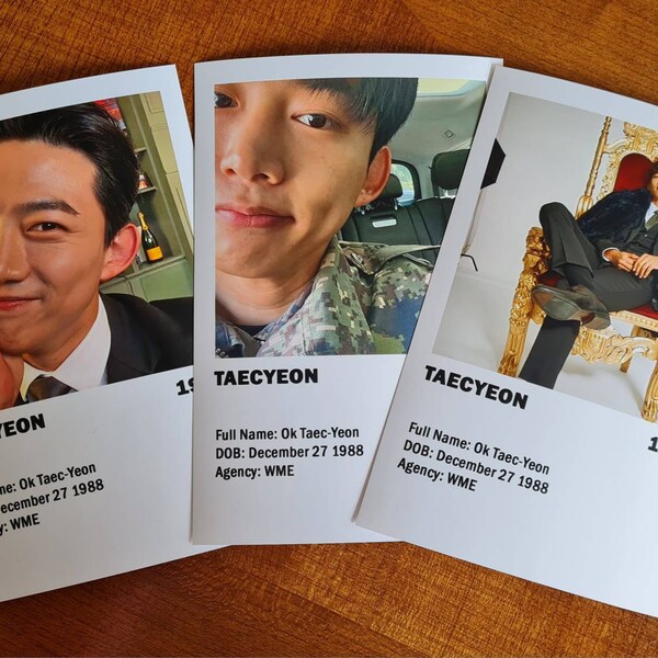 Park Min-young Aesthetic 6x4" Minimalist-style Poster Print - Etsy