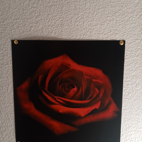 Dark Red Rose Photo, Rose Fine Art Print, Romantic Art Bedroom, Dark ...