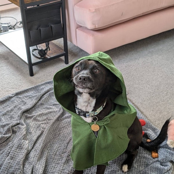 Cute Fleece Frog Cape - Etsy