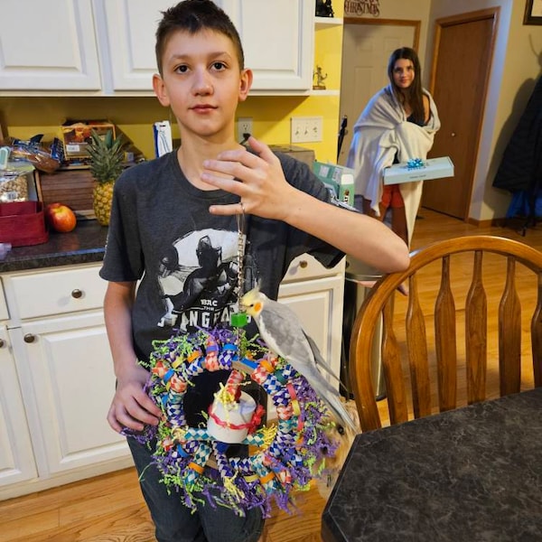 LARGE Parrot TOY ** FIRECRACKER ** Perfect for Pluckers and Foragers - Etsy