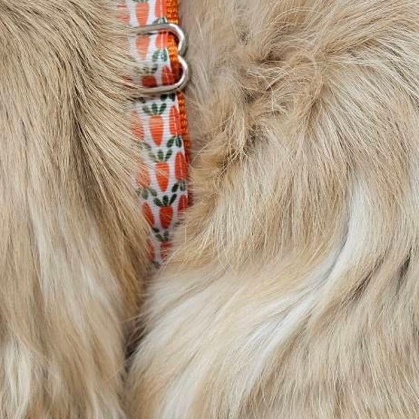 Red Reindeer Dog Collar 5/8 or 3/4 Wide Holiday Dog Collar Winter Dog ...