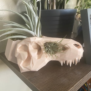 T-bone the T-rex Skull Planter With Plants THE ORIGINAL Nontoxic ...
