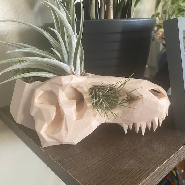 T-bone the T-rex Skull Planter With Plants - THE ORIGINAL! - Nontoxic ...