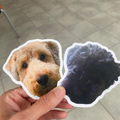 Custom Pet Sticker, Animal Sticker, Personal Sticker, Photo Pet Sticker ...