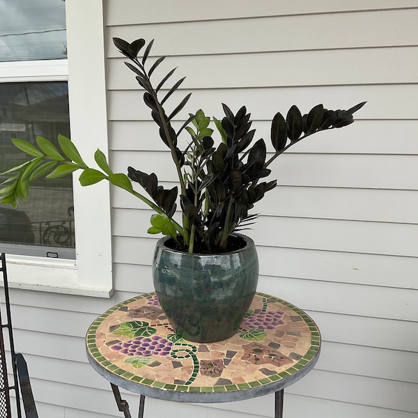 Contemporary Large Ceramic Planter - Indoor Outdoor Pots | Speckled ...