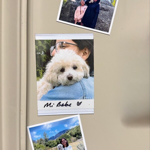 Button Magnets Square Magnets Fridge Custom Photo Magnet 2x2 Fridge ...