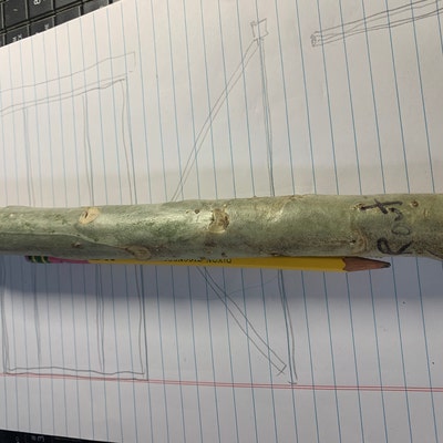 Organic Red PIGEON PEAS Gunga Pea 50 Seeds Cajanus Cajan Gandul Lazaro ...