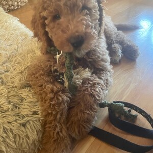 Dog Alphabet Poster // PRINTABLE // Dog Wall Art // Instant | Etsy