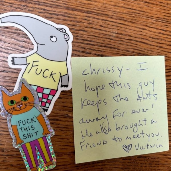 Cute Panda Card, Funny Animal Card, Encouragement Card, Panda Card - Etsy