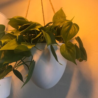 Large Hanging Bullet Planter, Ceramic Porcelain Hanging Planter, White ...