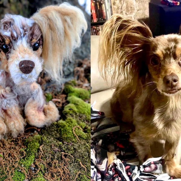 Made to Order Rosy Maple Moth Crochet Plush Toy, Amigurumi Stuffed ...