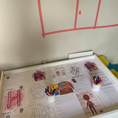 Shark Teeth Poster/art Print - Etsy