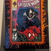 Multi-3 Graded Comic Book Frame. Display 3 Graded Comic Book Cases in ...