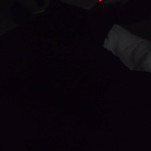 5 Pack Finn Crisp Original Rye Crispbread 200g 7.05oz - Etsy