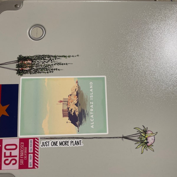 Botanical Springtime Flower Window Cling Decal. Crocuses, Ferns ...