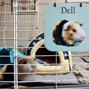 Rat Cage Tag Rat Cage Accessories Rat Name Tag Rat Cage - Etsy