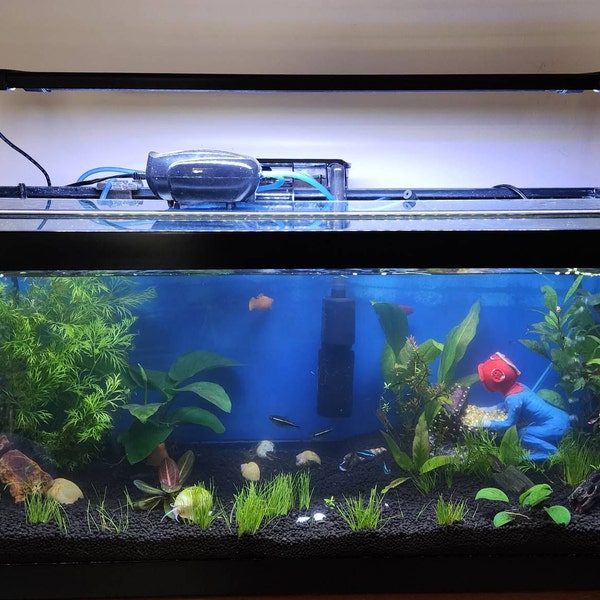 Nicrew Classic, Gen 2, G2, & Plus LED Light Riser, Attractive Stable ...