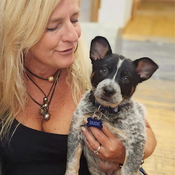 Custom Pittsburgh Penguins Themed Double-sided Dog ID Tag Mini Bone - Etsy