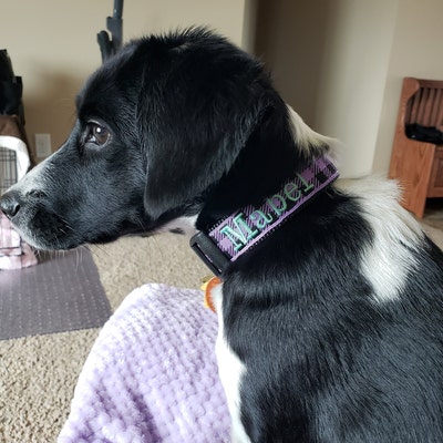 Invisible Fence Mechanism, Fence Collar, Personalized Dog Collar ...