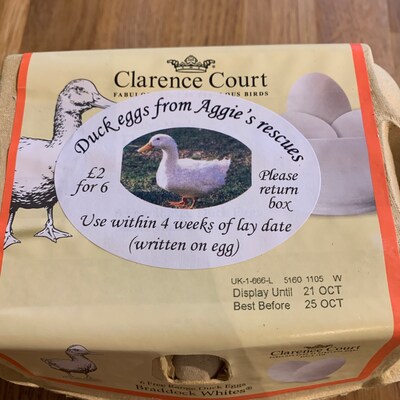 10 Oval Customised Duck Egg Box Labels Medium 75mm X 55mm Choose You ...