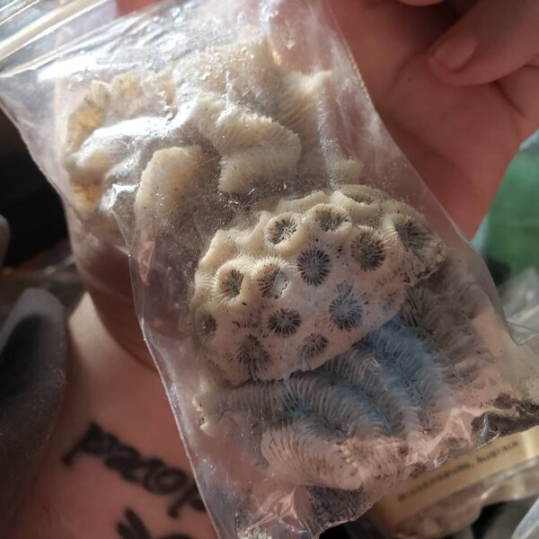 Florida Water. Spiritual Cologne. Spiritual Bath. Spiritual Floor Wash ...