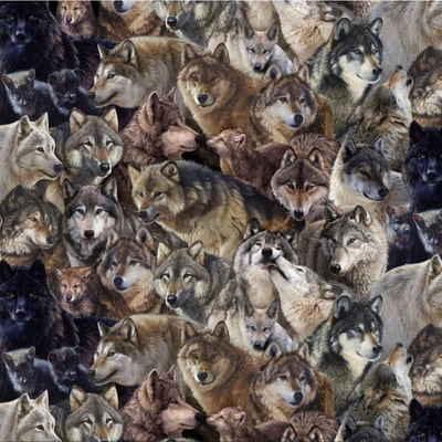 35 Digital Fabric Panel David Textiles Mountain Majesty Eagle Mountain ...