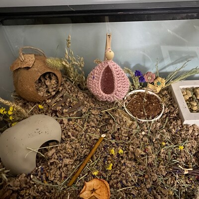 Rat Name Cage Decal for Rat Cage Custom Sign for Rat Cage Accessory for ...