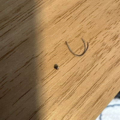 Tiny Ball Stud Post Earrings, Argentium Silver, Single or Pair Lobe and ...