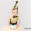 Dinosaur Cake Smash Outfit, Dinosaur First Birthday Outfit, Diaper ...