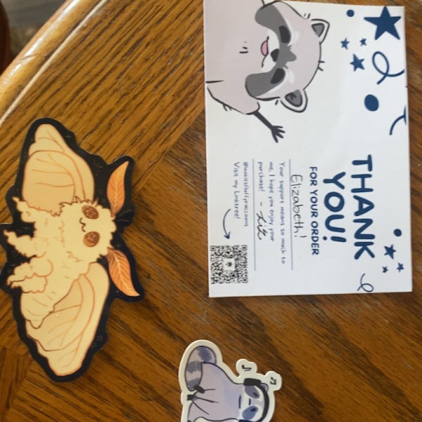 Raccoon Sticker Pack | Waterproof Glossy Sticker - Etsy