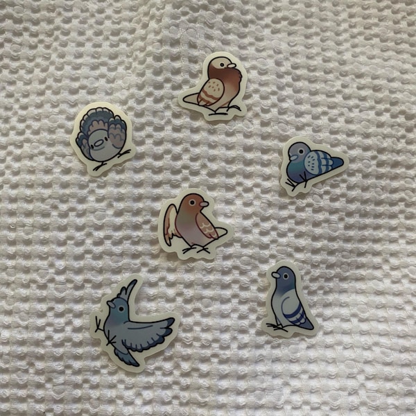 Silly Pigeon Sticker Pack - Etsy
