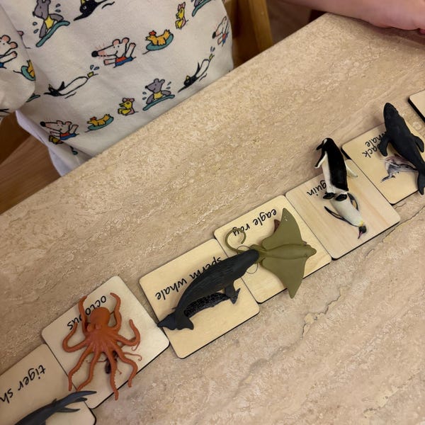 Montessori and Waldorf Learning Sea Life Animals Sustainable Match Toys ...