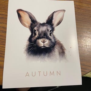 Custom Dog Poster Brittany Dog Poster Brittany Dog Print Brittany ...