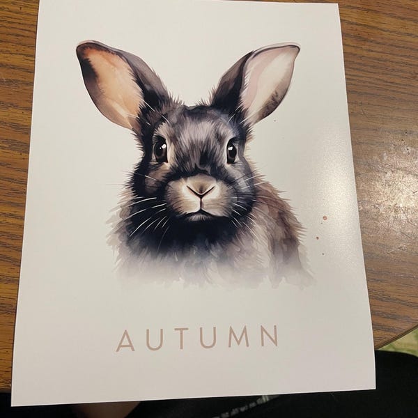 Magpie Poster - Magpie Print - Magpie Art - Bird Art - Birds Print ...