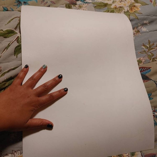 White Goatskin Parchment: Real Vellum for Calligraphy, Bookbinding ...