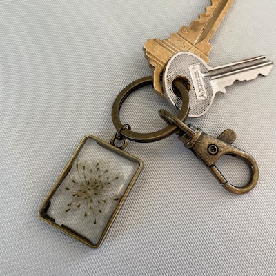 Pressed FIVE Leaf Clover Pack not Perfect Clovers, Real Clovers for ...