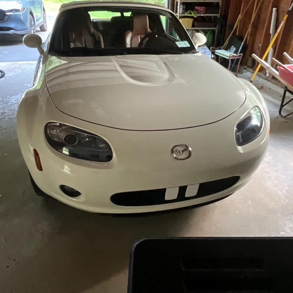 NC Mazda Miata Grill Teeth - Buck / Bunny (fits 2006-2008 NC1 MX5) - Etsy