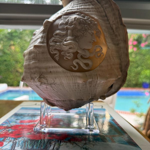 Beach Decor Seashell Stand - Large and Small Display Stands - Shell ...
