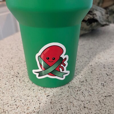 Cute Kidney Sticker/ You've Got to Be Kidney Me/ Kidney Stone/ Medical ...