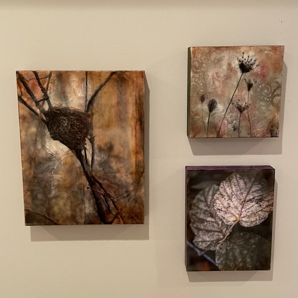 Encaustic Art, Wall Art - Queen Anne's Lace With Butterflies - Etsy