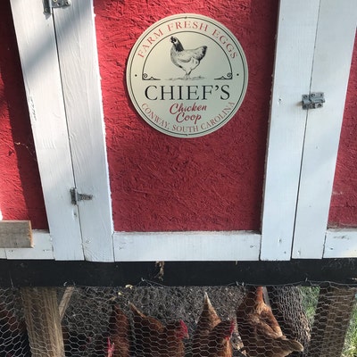 Farm Fresh Eggs Sign Custom Chicken Sign Custom Farm Sign - Etsy